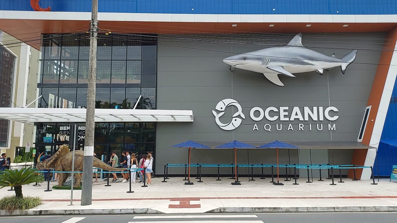 Conhecendo o Oceanic Aquarium BalneárioCamboriú - YouTube