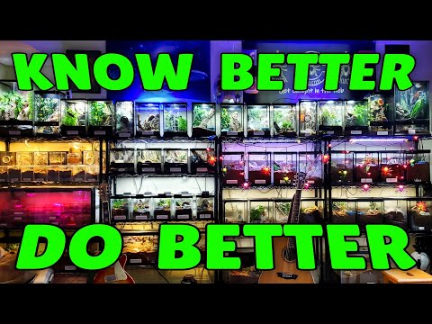 Top 5 Tools for Tarantula Keepers! - YouTube