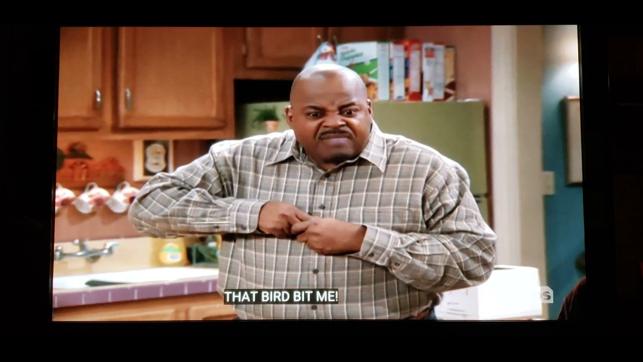 Family Matters Andre the parrot - YouTube