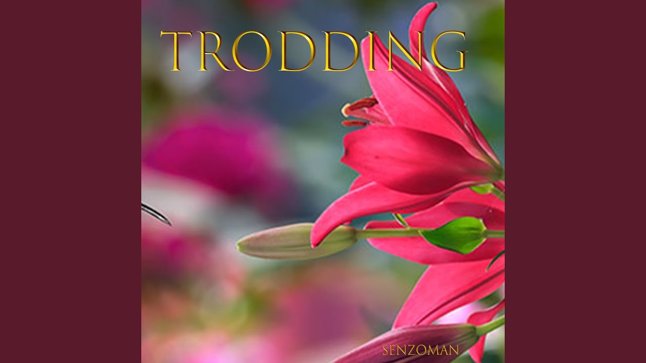 Trodding - YouTube
