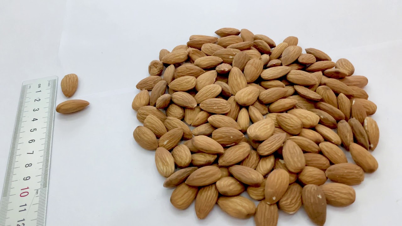 Olam Almonds - Nonpareil Supreme 23/25 available on OlamNuts.com - YouTube