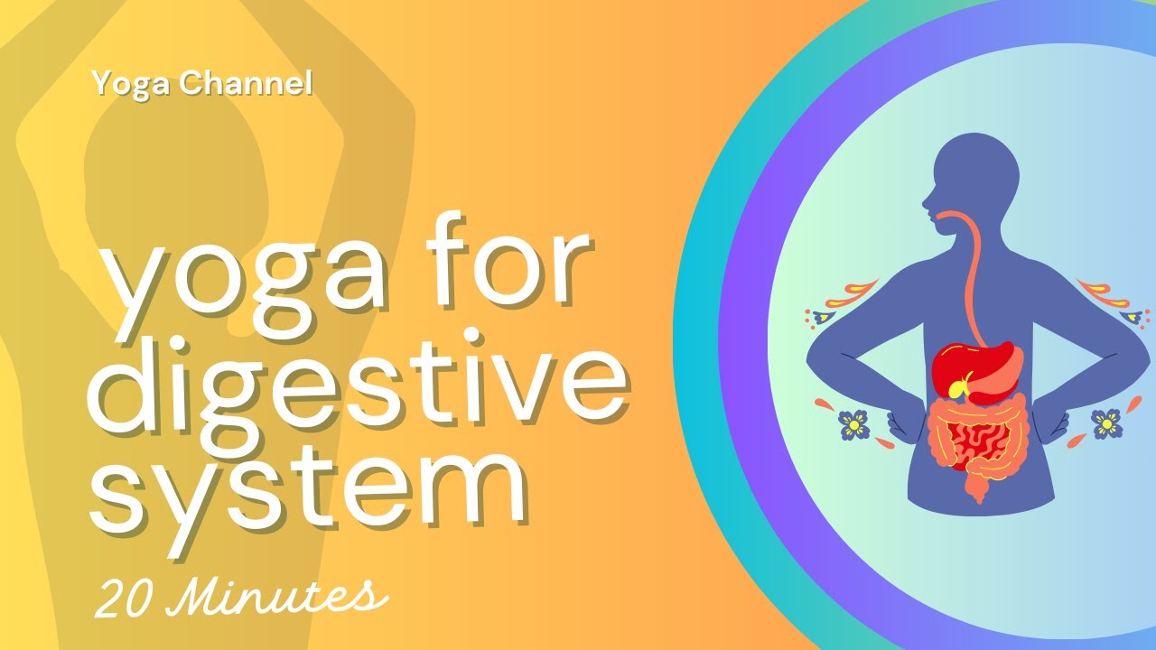 Yoga For Digestive System // exercises for strong digestive system ...