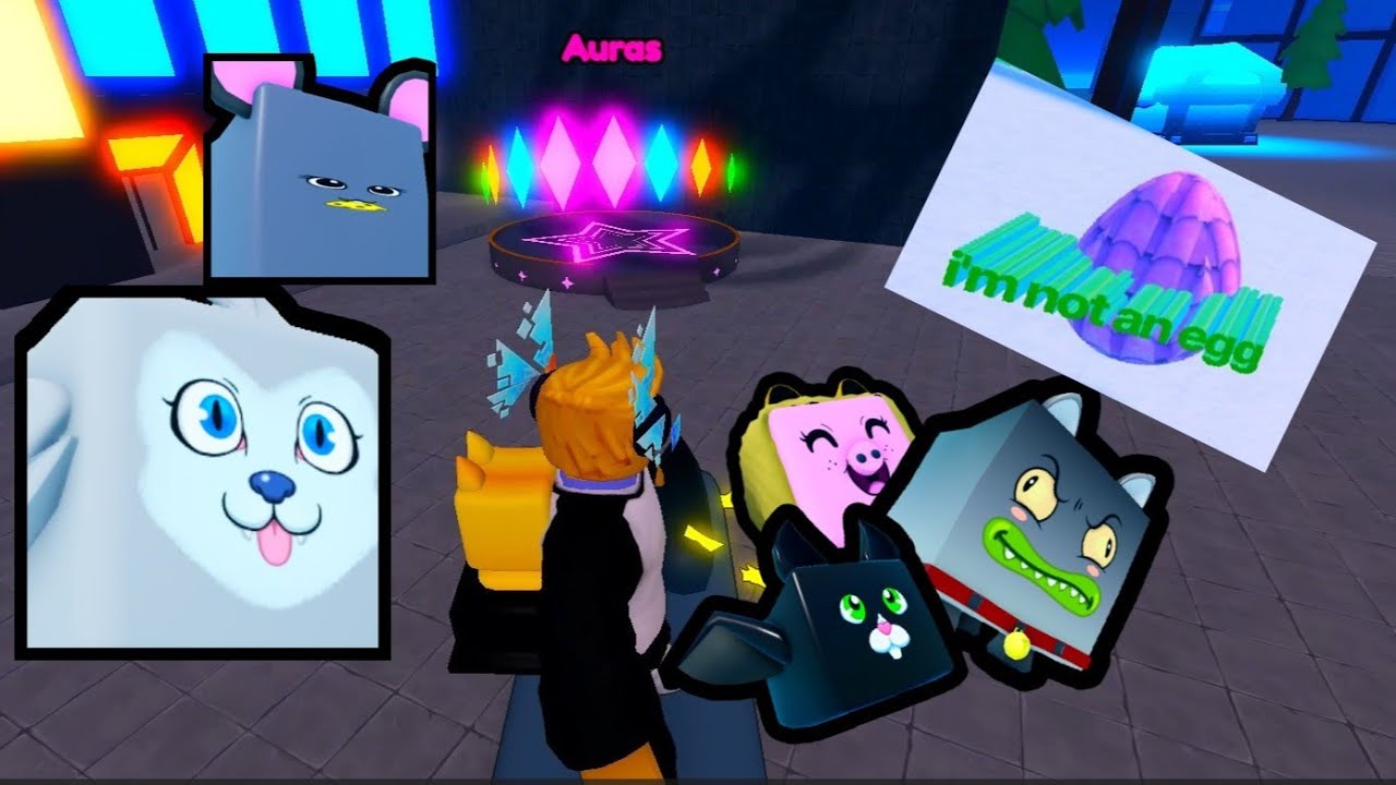 Pet Rift: Mixed pets, AURAS and FREE ADMIN POWERS! - YouTube