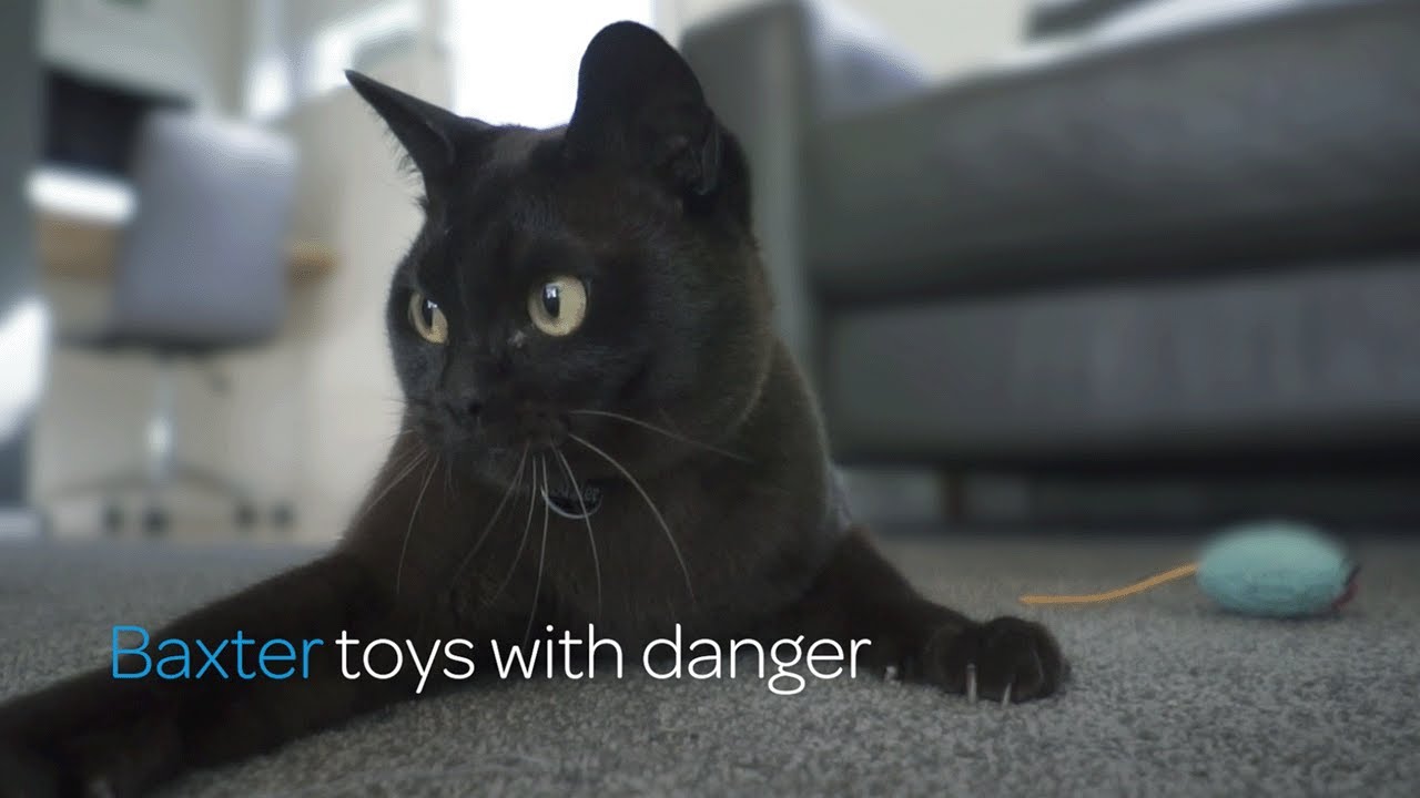 Baxter toys with danger - YouTube