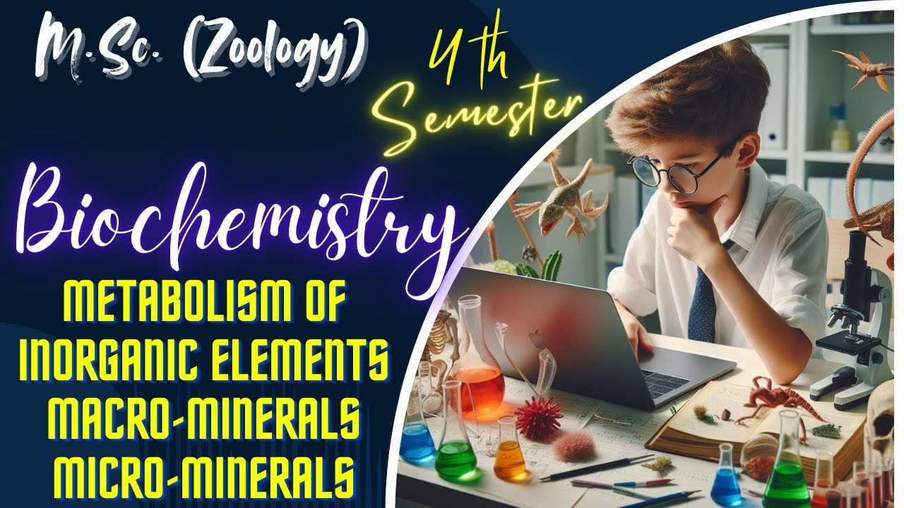 Metabolism of Inorganic Elements, Macro-minerals, Micro-minerals - YouTube