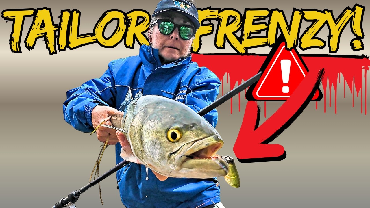 Tailor Fishing MAYHEM In A Land-Locked Lake! - YouTube