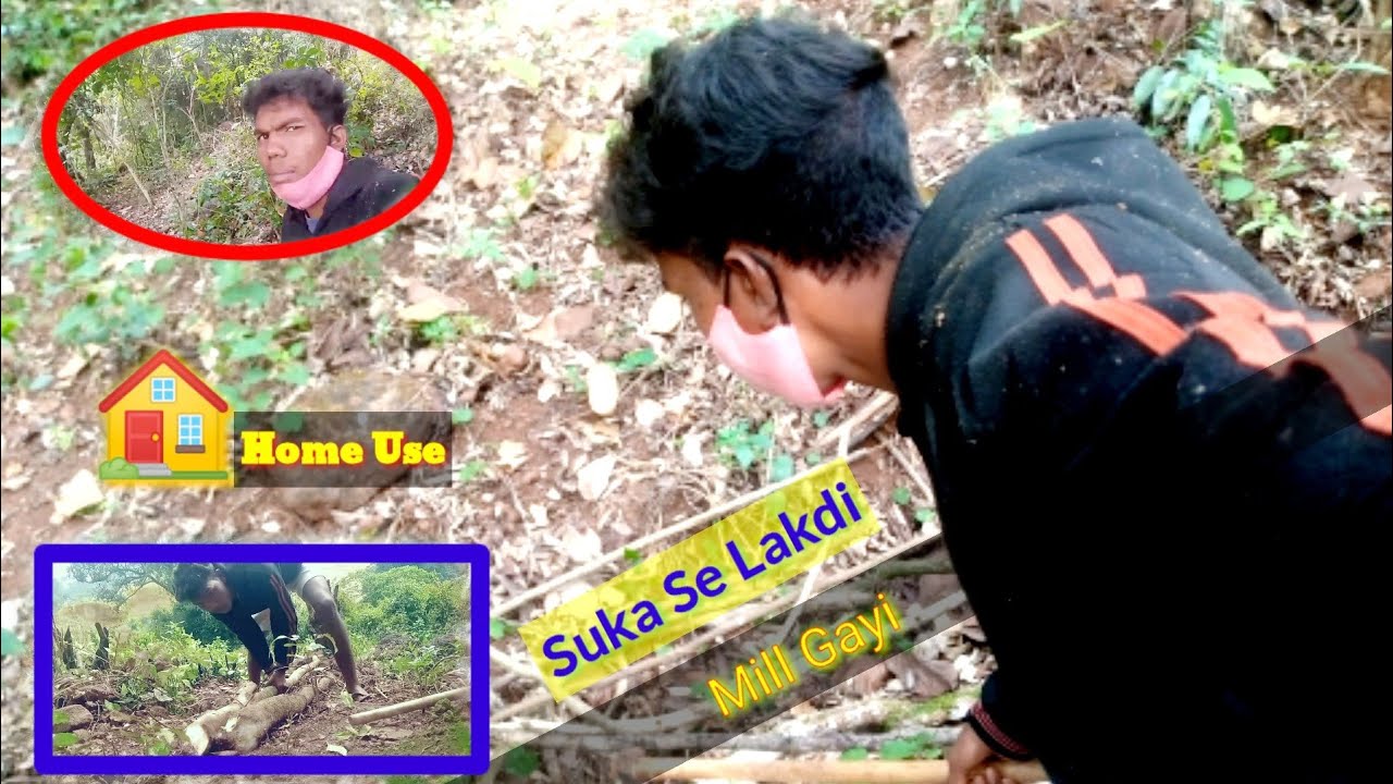 My Home Use Suka Lakdi || Mukunda Upload Youtube Vlog video || #JinaVlog - YouTube