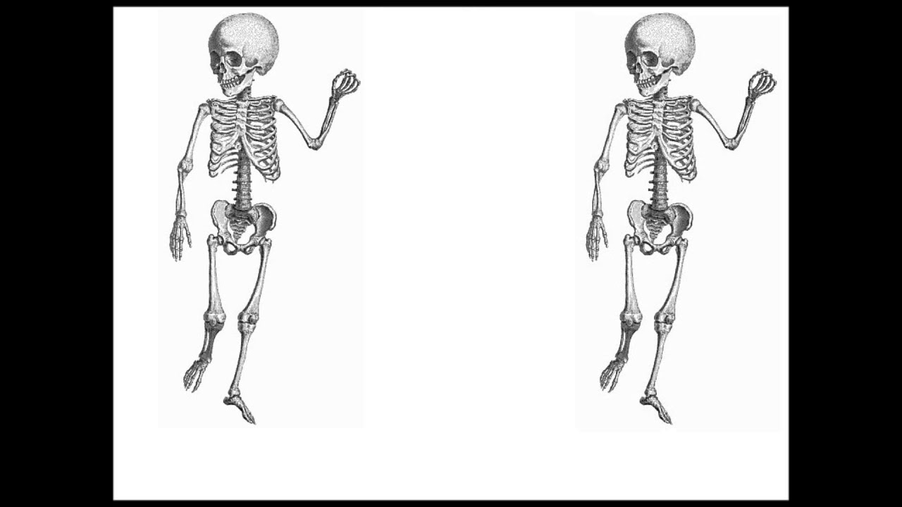 Thompson--Skeletons' March - YouTube Music