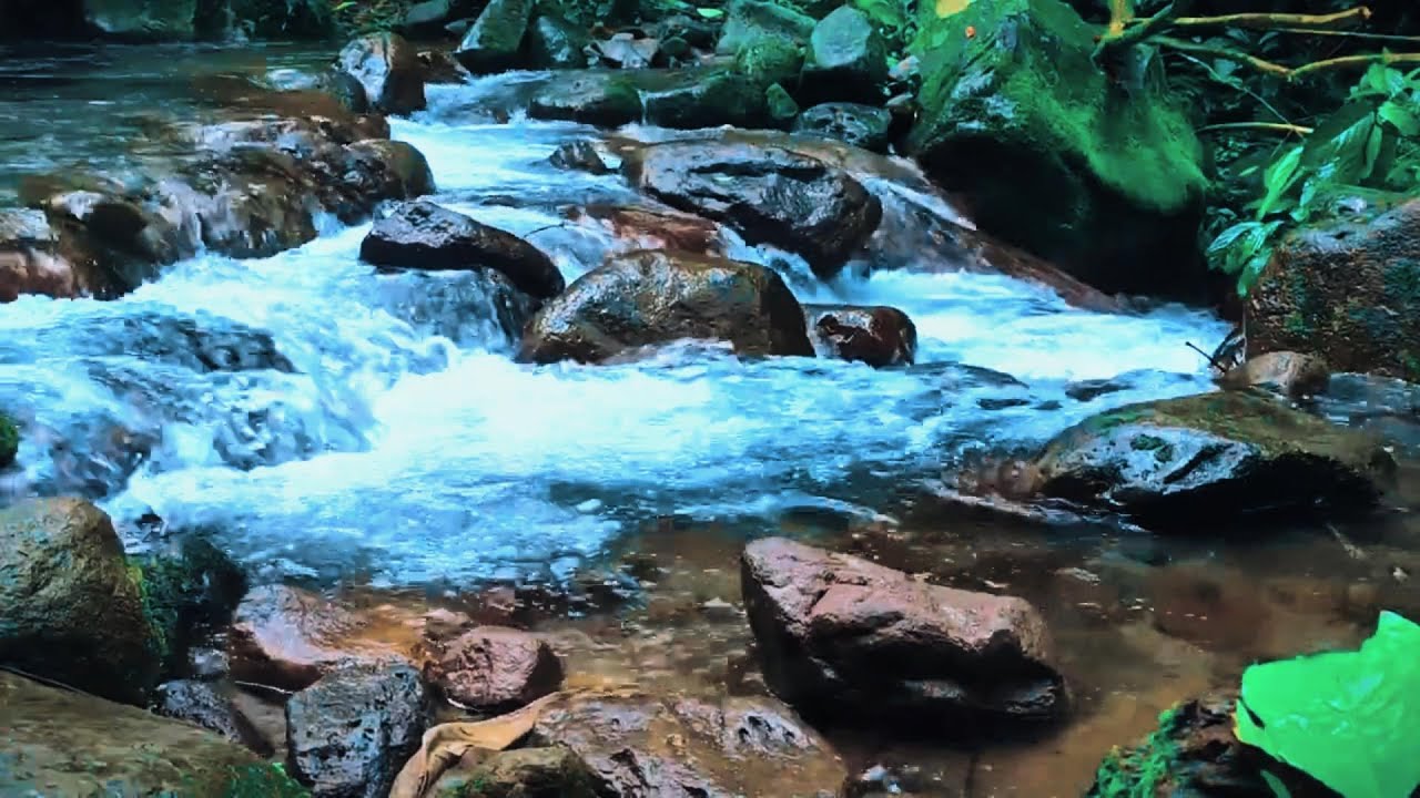 Relaxing River Sound makes the soul calm, relieves stress, helps yoga ...
