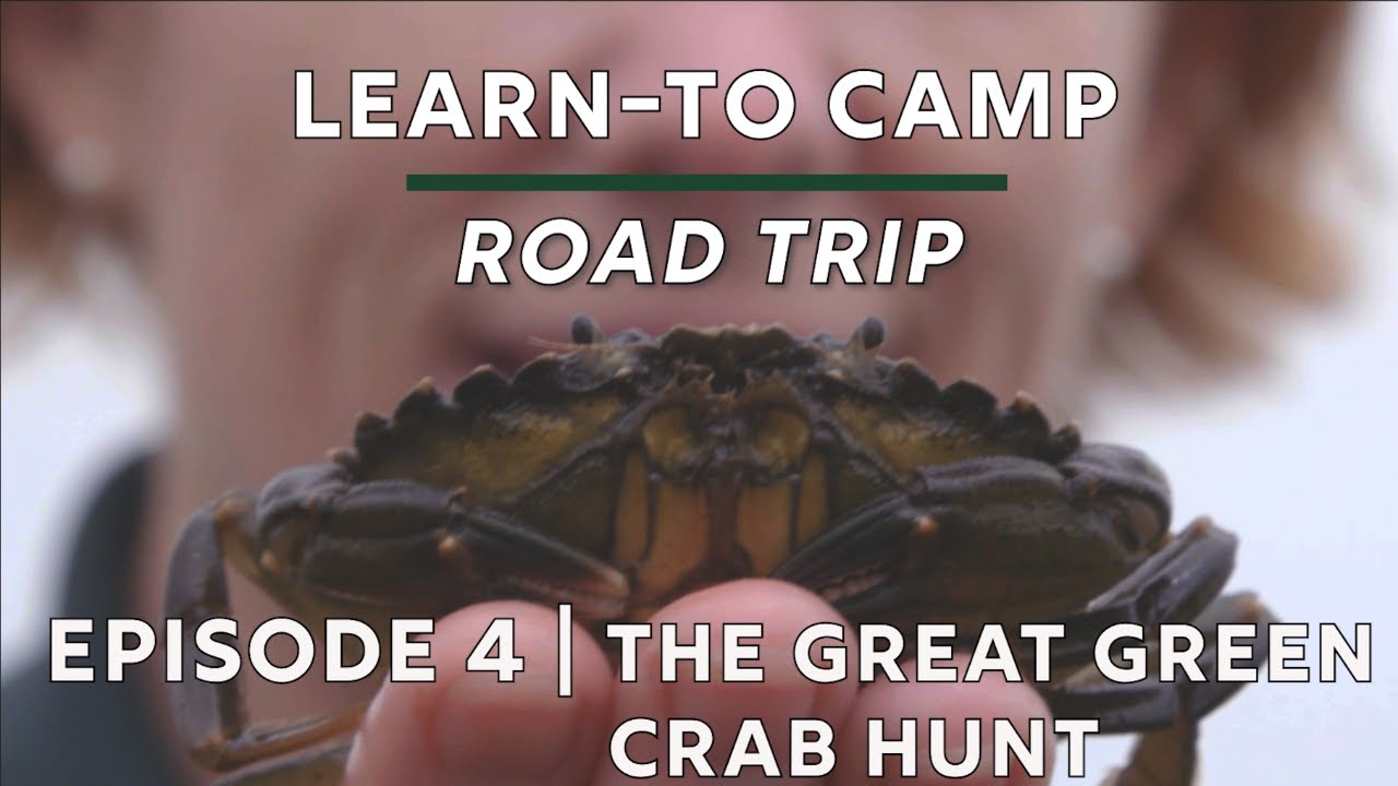 Learn-to Camp Road Trip || The Great Canadian Crab Hunt - YouTube