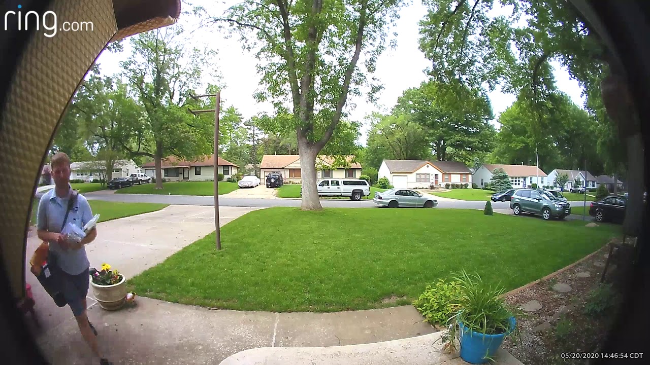BIRD V MAILMAN - YouTube