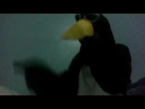 Penguin Beatbox - YouTube