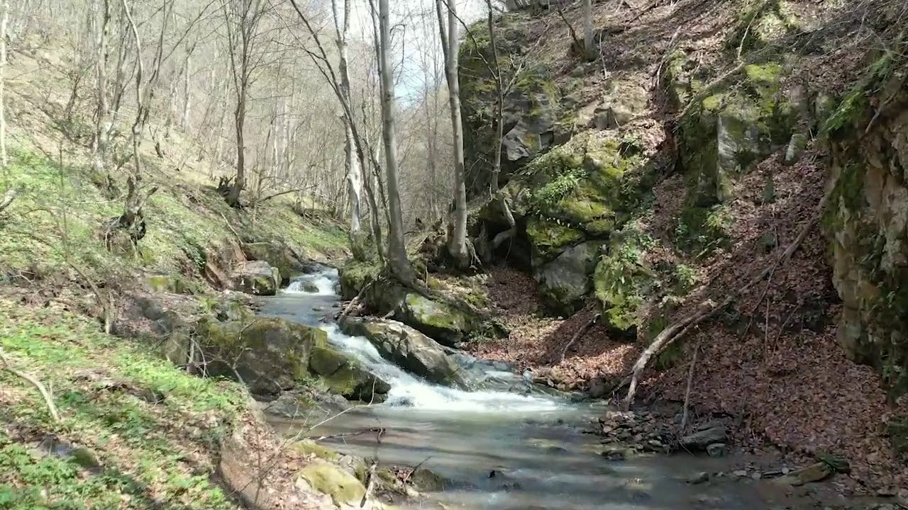 Mala reka 24. 04. 2020. - YouTube