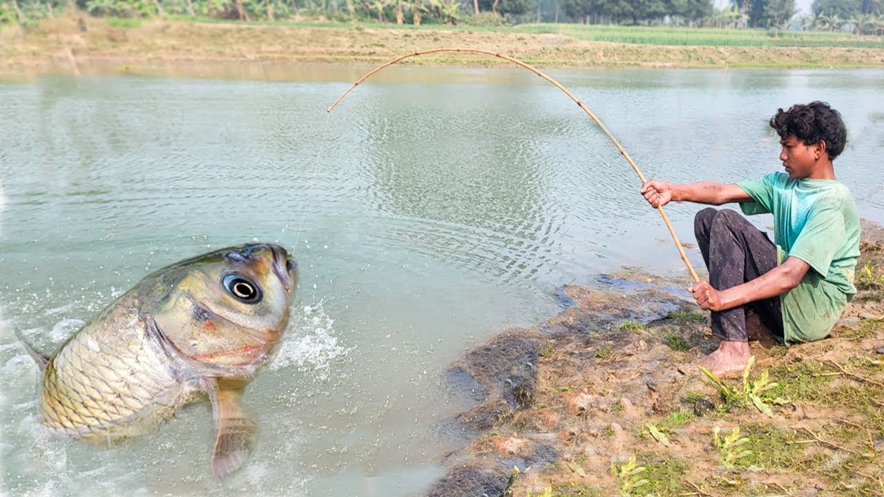 Amazing Big Fish Hook Fishing in River - YouTube