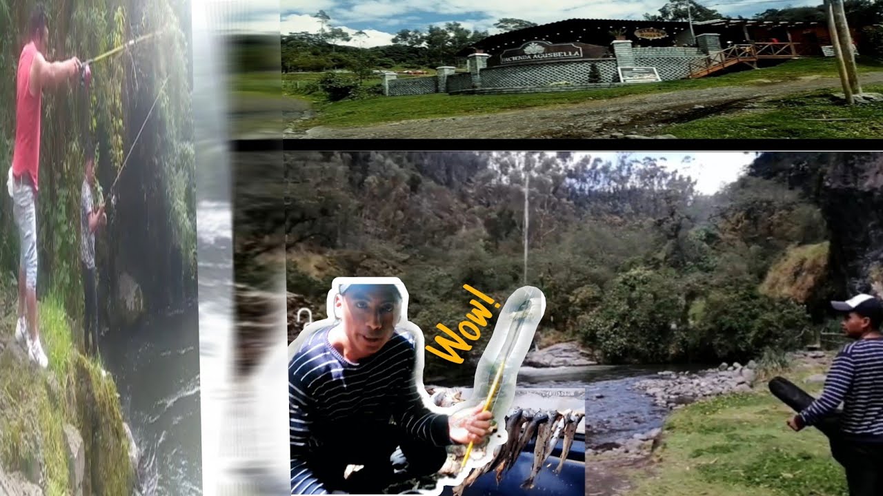 Nos fuimos a pescar! 🌊🐟🎣 - YouTube