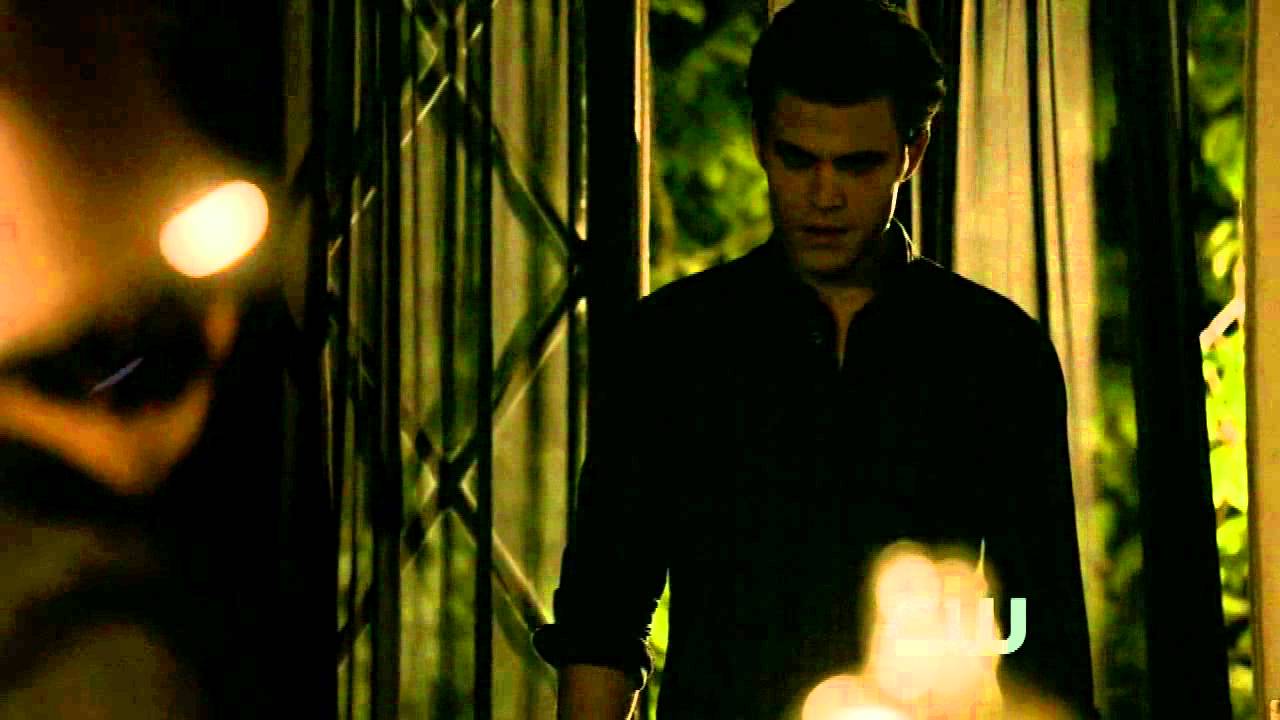 The Vampire Diaries 1x08 ** Best Scene ** | Angry Stefan For Damon ...
