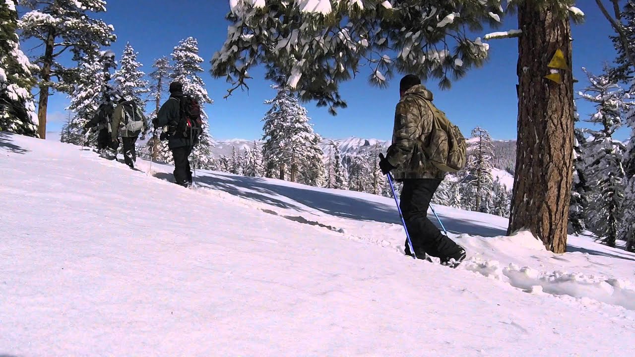 America’s best winter hike: Snowshoeing Yosemite’s Dewey Point - YouTube