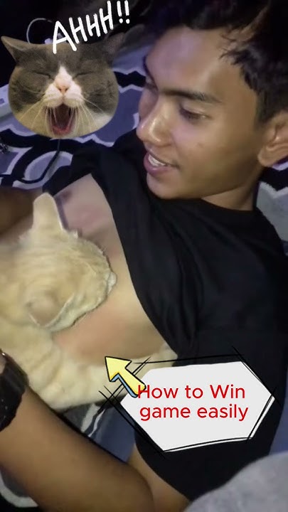 How to win games easily #funnyshorts #cats - YouTube
