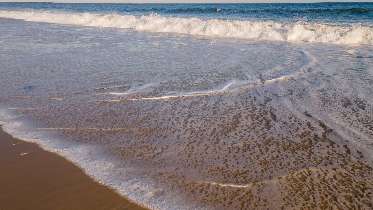 barney ocean 0095 - YouTube