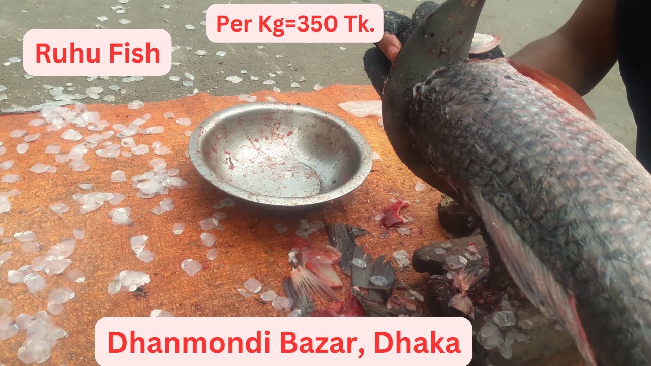 A Fish Cutting Skill Man Cuts Fish In the Fish Market#fishcutter - YouTube