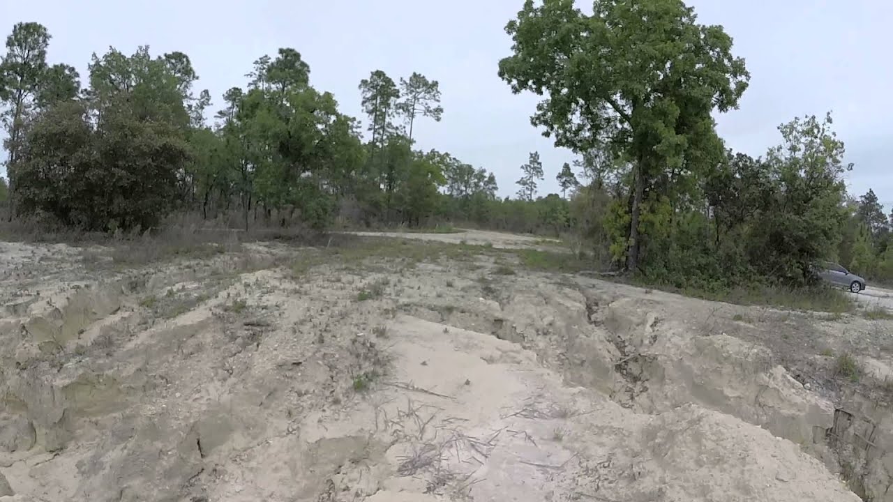 Dove Fields in Goethe Wildlife Management Area - YouTube