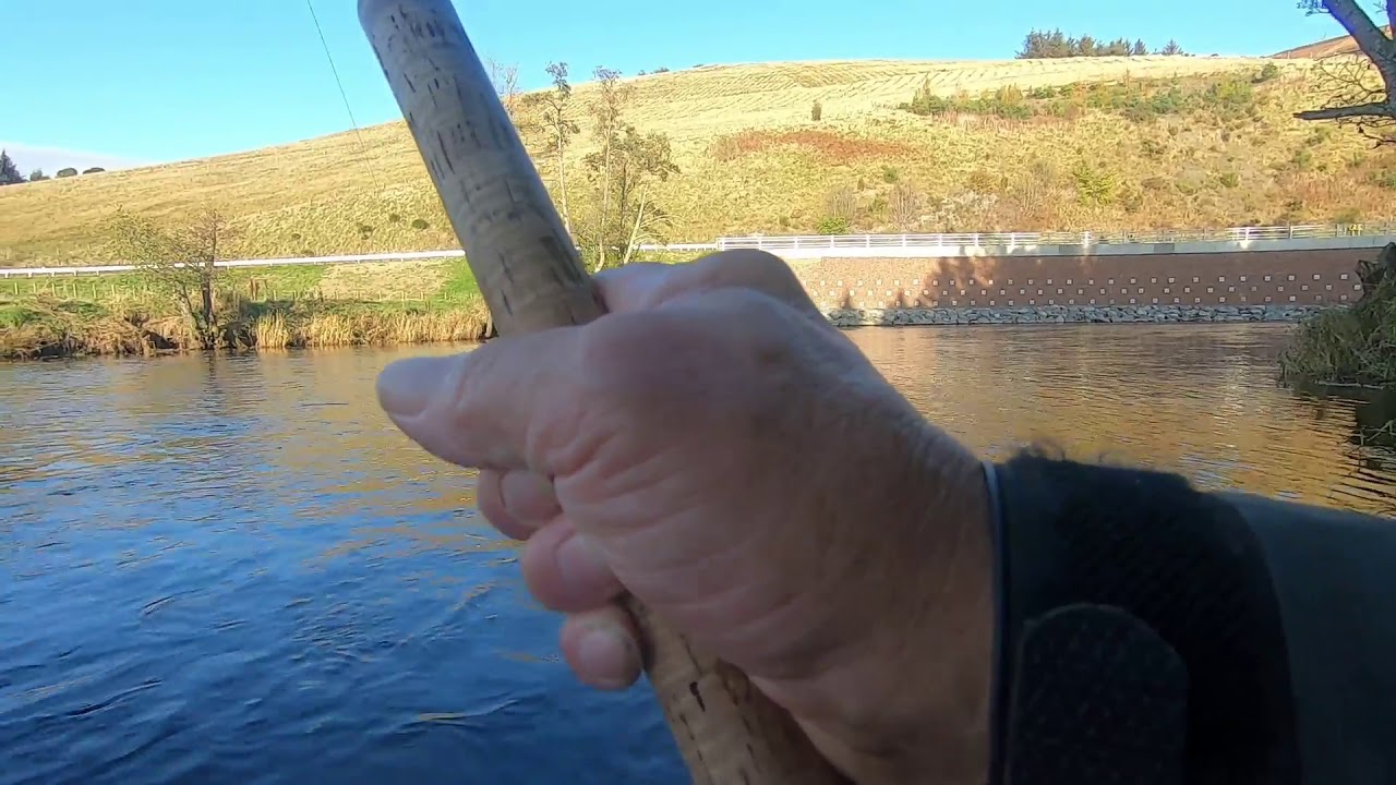 Salmon fishing at Cardrona river Tweed 28th October 2019 - YouTube