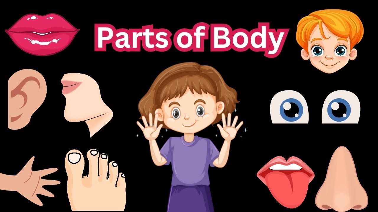 Parts Of Body | Daily use English |Learn Body Parts Eyes, Nose, Legs ...
