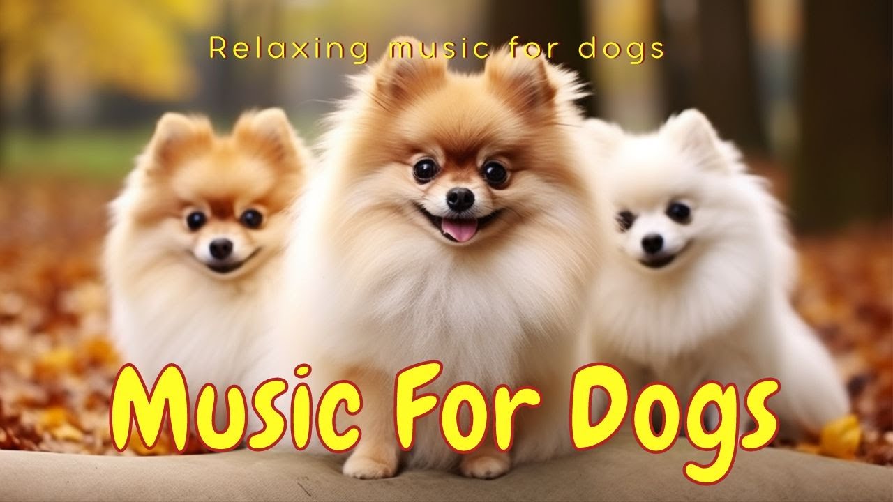 Dog Music🎵Dog Sleep Dog Calming Music 8 HOURS - Relaxing music for dogs ...