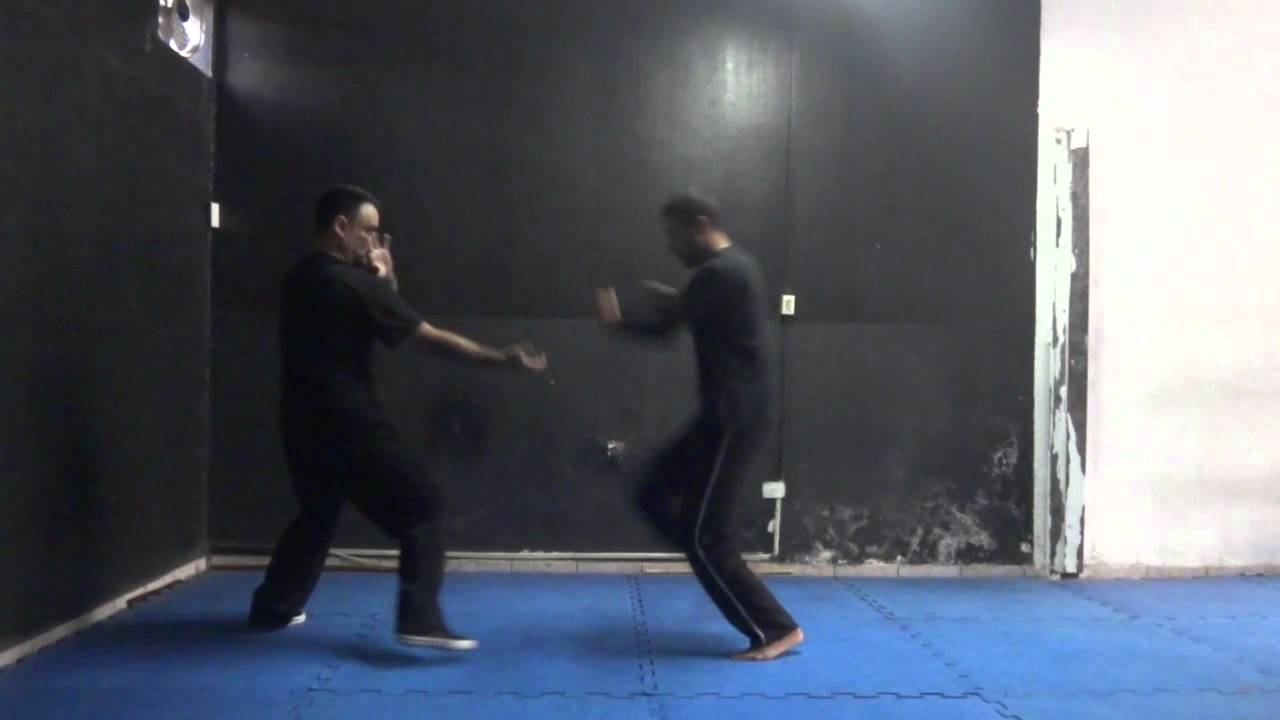 Bujutsu Ninjutsu - Jujutsu (Jiu-jitsu Samurai) Arte de Guerra Goiânia ...
