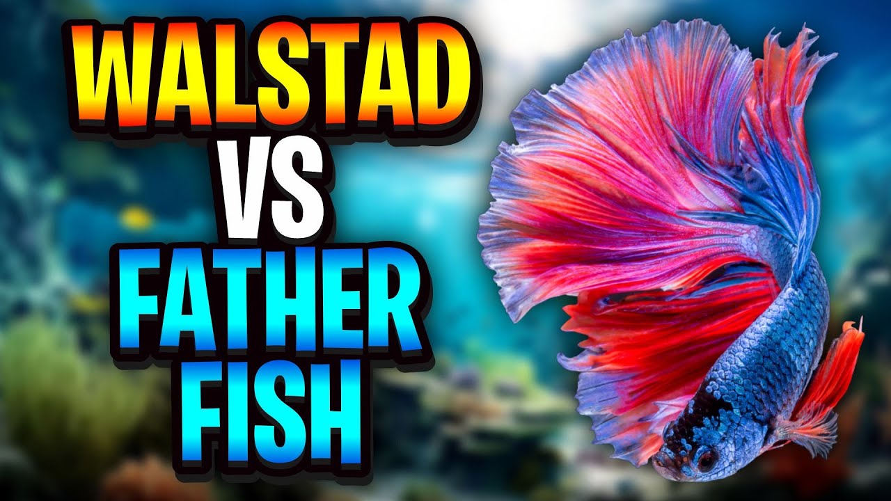 Walstad Method Vs Father Fish - What's The Best Option For Your Next ...