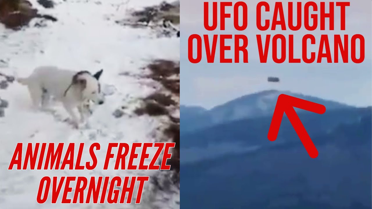 Most Strange Moments Caught On Camera | Unbelievable Videos - YouTube