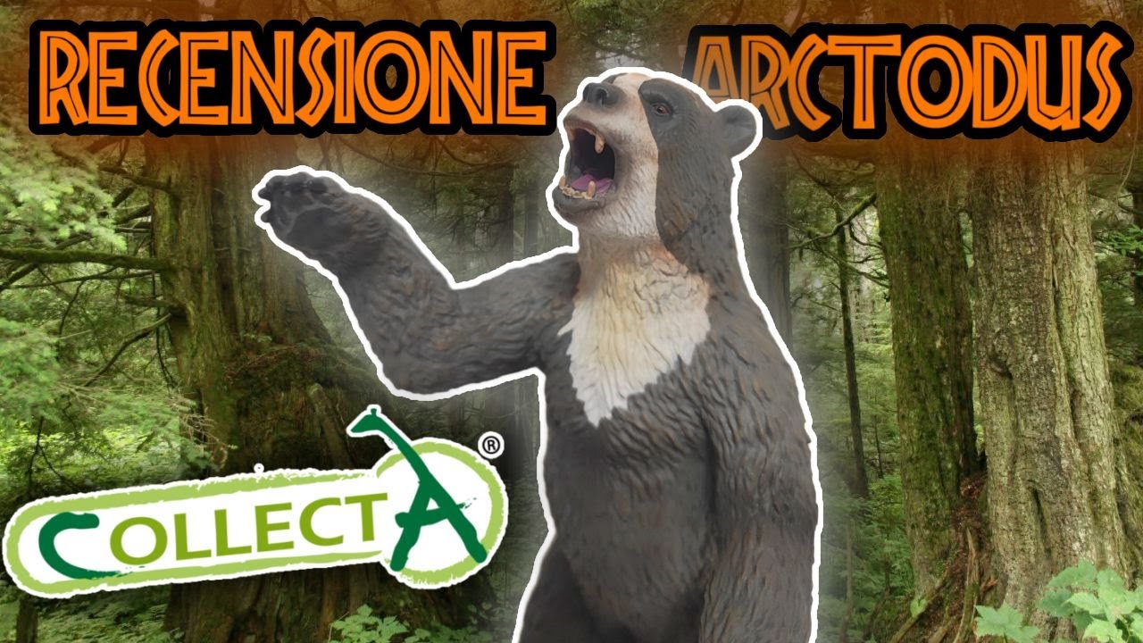 IL GIGANTESCO ORSO DAL MUSO CORTO! 🐻 Recensione Arctodus |Collecta 2025 ...