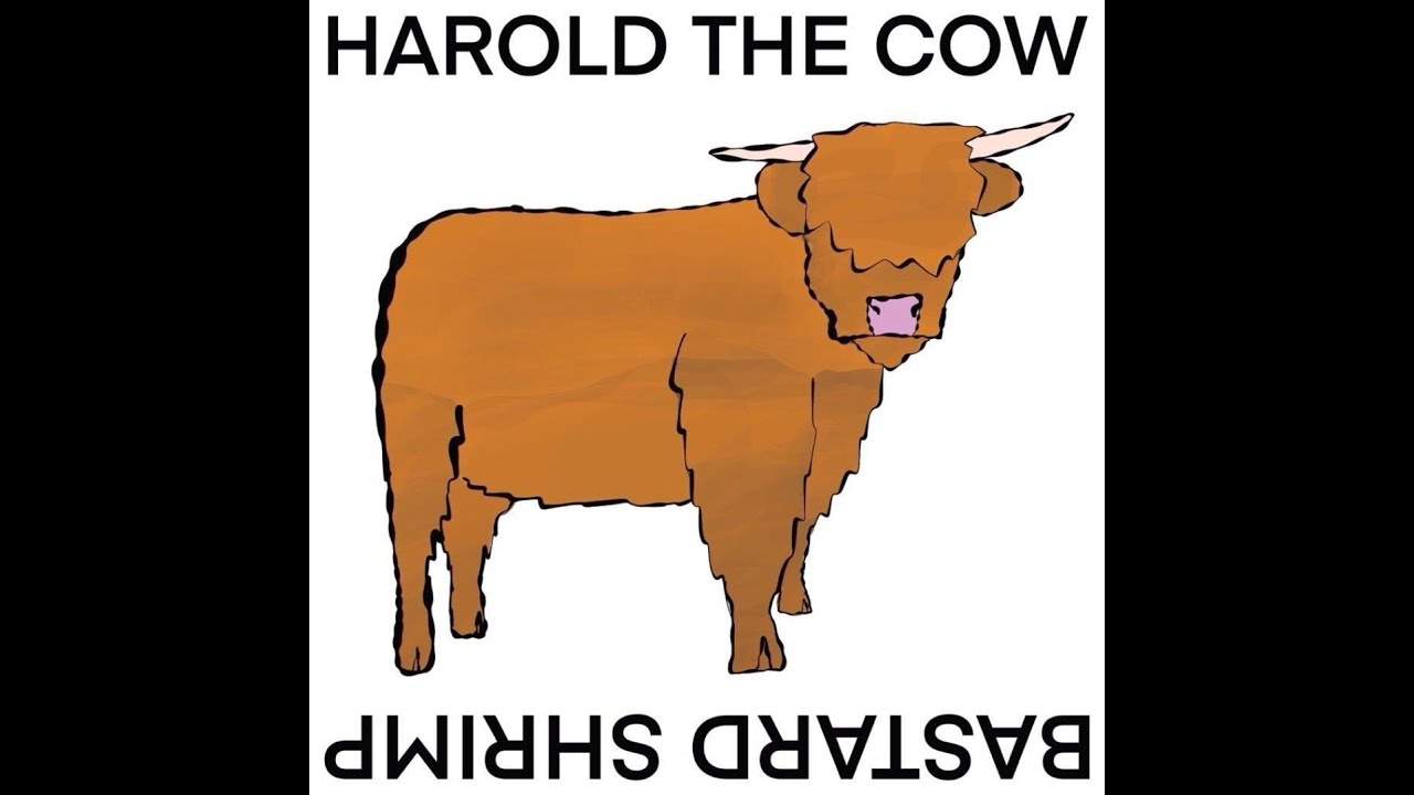 Harold The Cow - YouTube