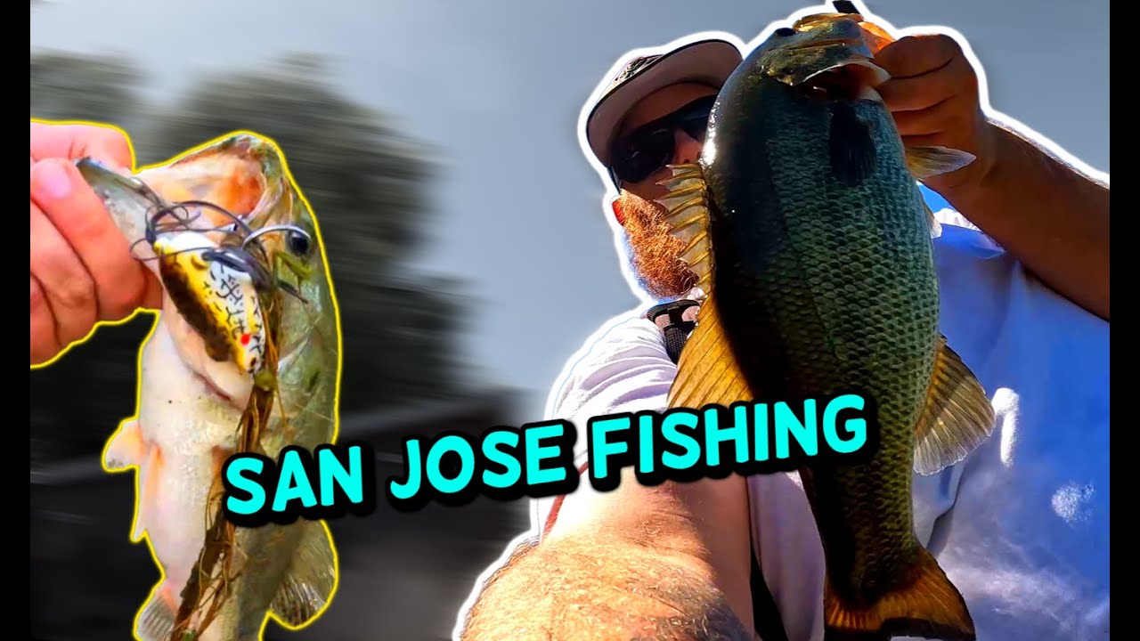 STINKY Fish EAT My FROG Lures?! - YouTube
