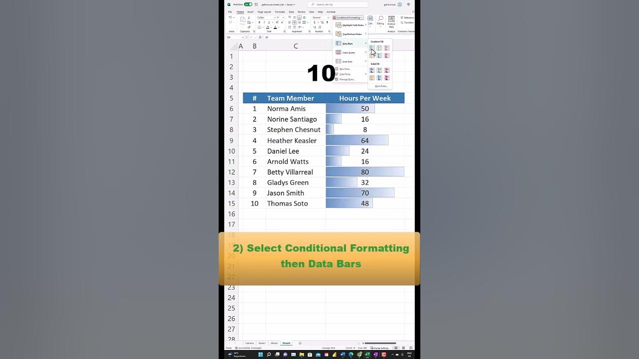This is cool 💚😎💚 Excel Conditional Formatting with Data Bars: 20-Second ...