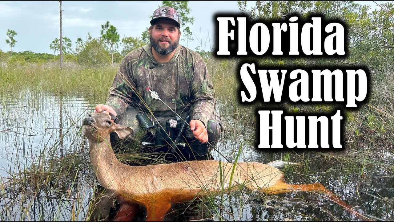 Bowhunting South Florida Swamps | Saddle Treestand Over Submerged Land ...
