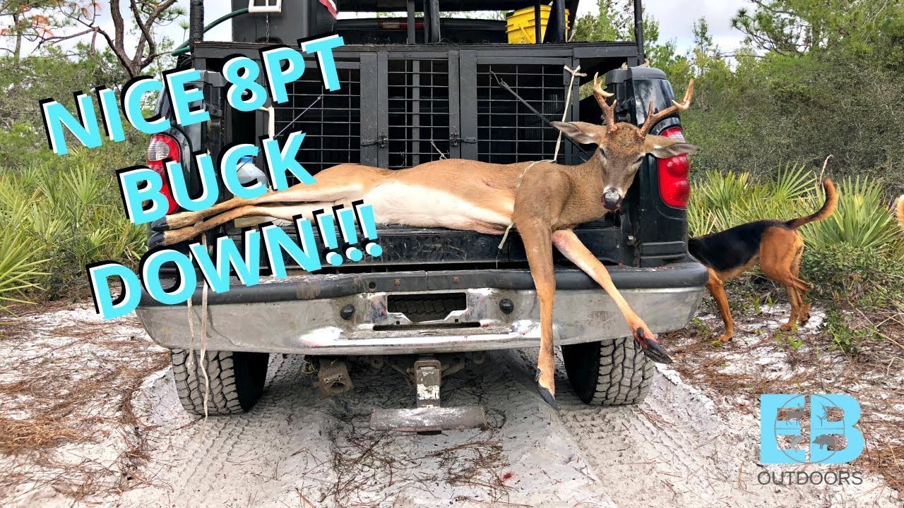 Deer Dog Drive - ACTION RACE, BIG 8PT DOWN (Still hunter FAIL!) - YouTube