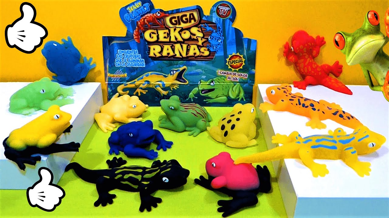 GIGA 🦎 Gekos y 🐸 Ranas - MAXI Unboxing - YouTube