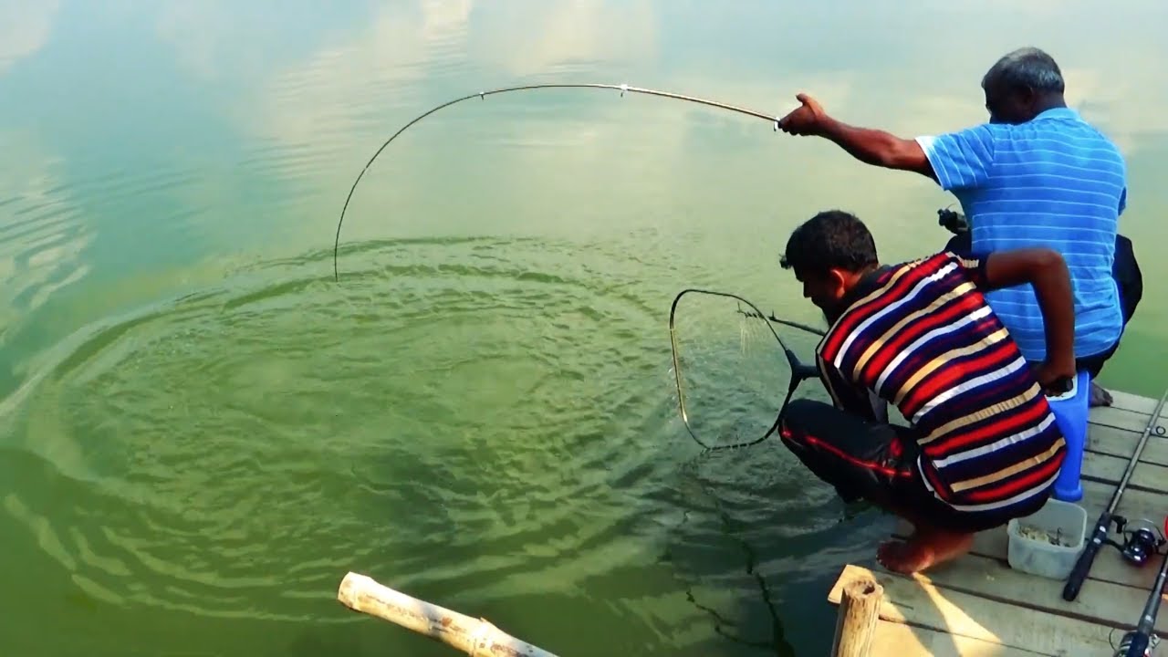 Pretty Series Fishing Videos In The Natural Village Fishing Spots - YouTube