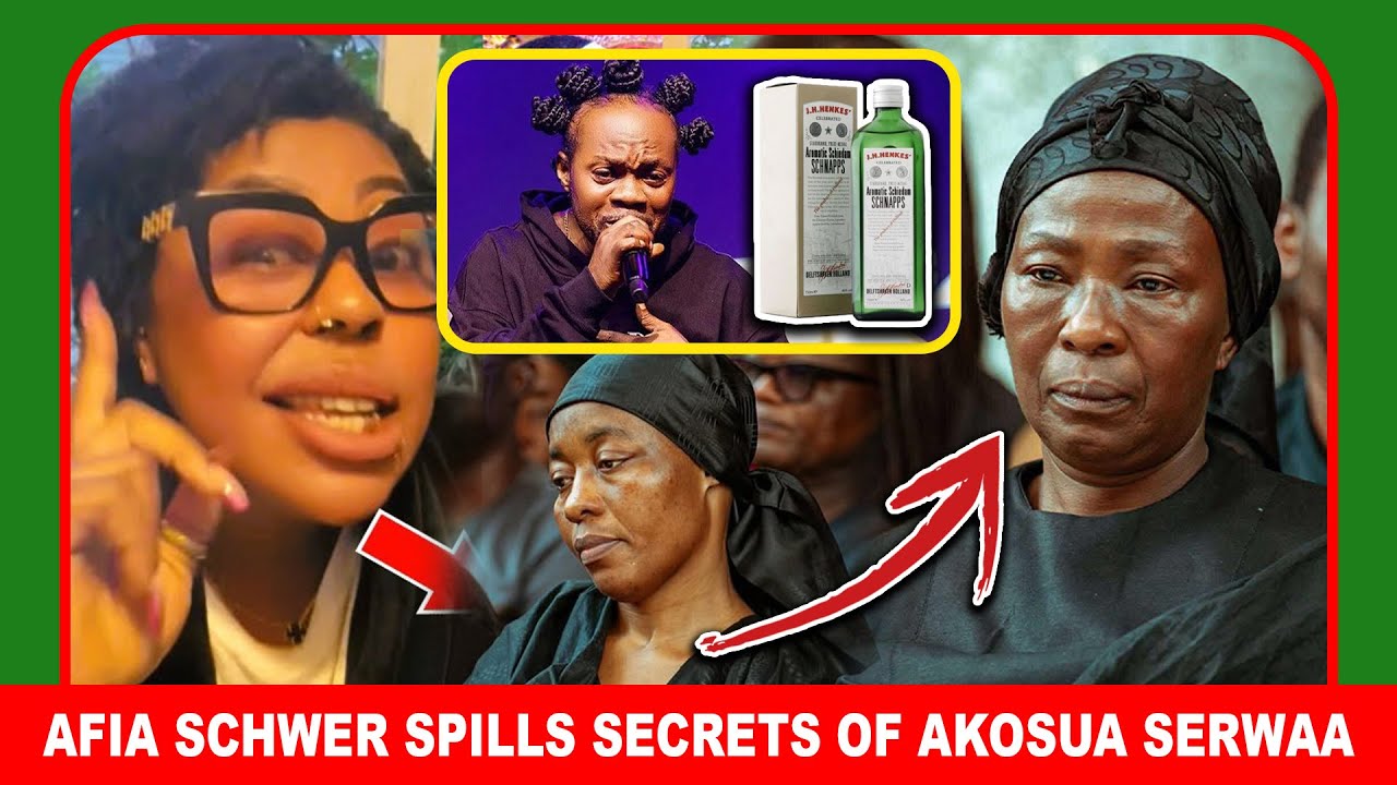 Break: Afia Schwer Spills Secrets Of Akosua Serwaa; You Gave Lumba His ...