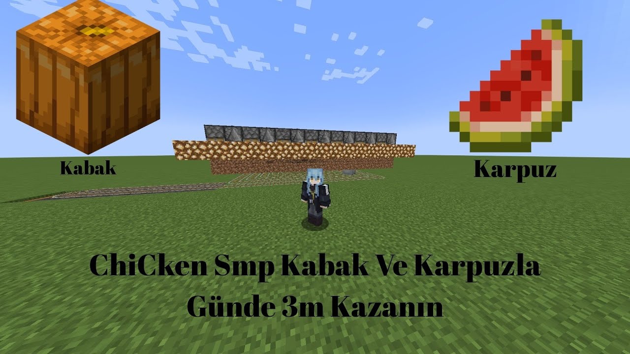 Chicken Smp Hibrit Farm Nasıl yapılır Günde 3m (Karpuz Kabak) - YouTube