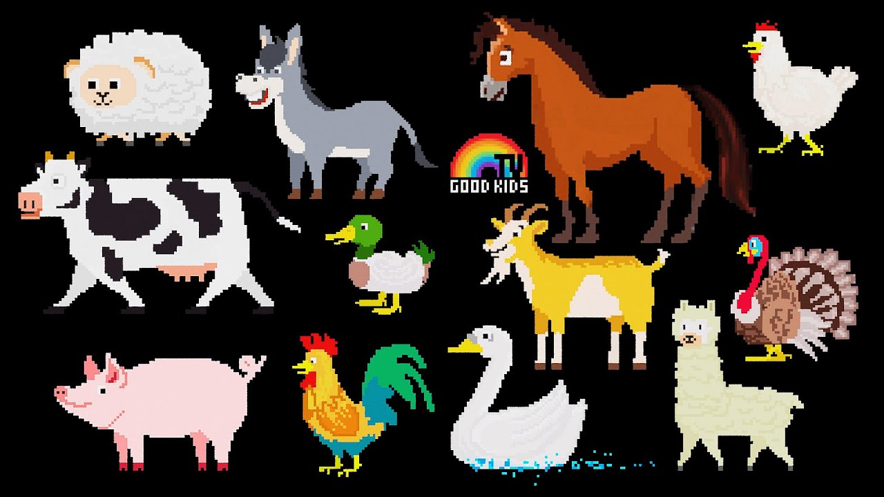 Farm Animals - Old MacDonald -Pet and Farm Animals 1 Turkey, Cow, Horse, Duck GoodKids - YouTube