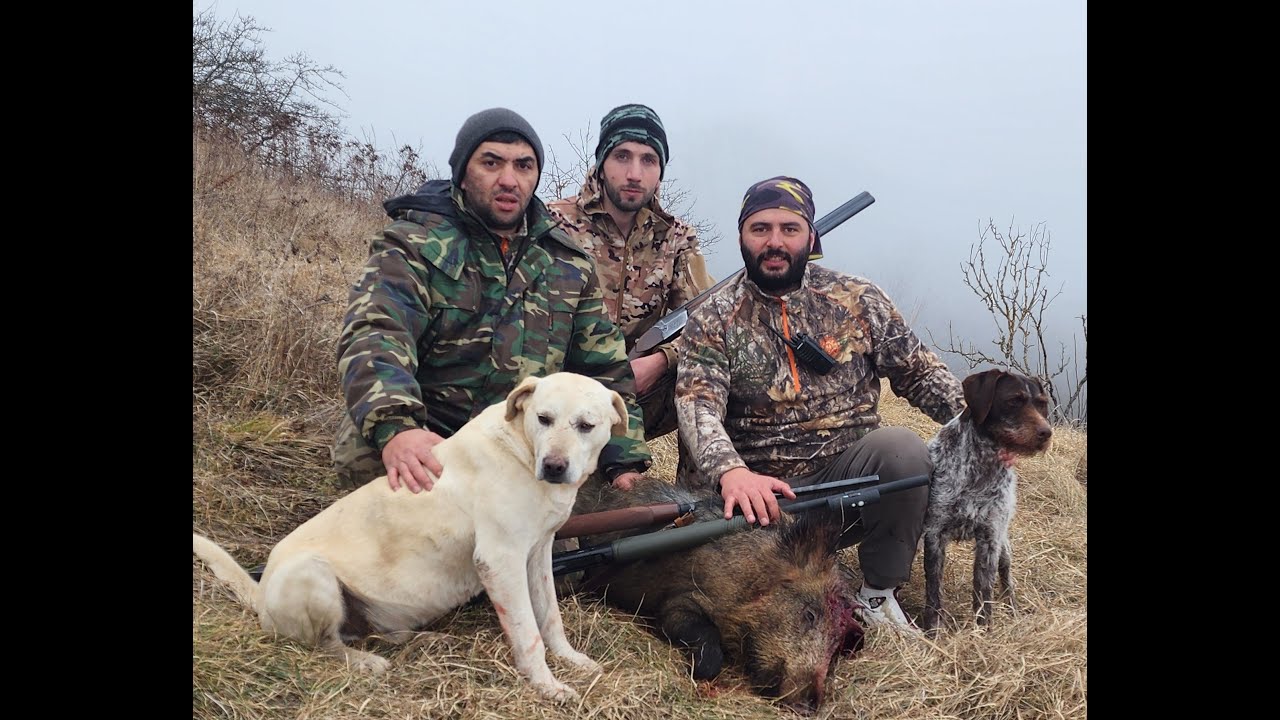 Խոզի որս Հայաստանում / Охота на кабана в Армении / Wild boar hunting in ...