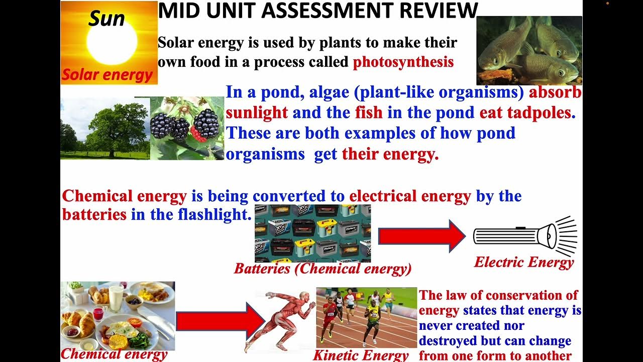 HARNESSING HUMAN ENERGY MID UNIT REVIEW - YouTube