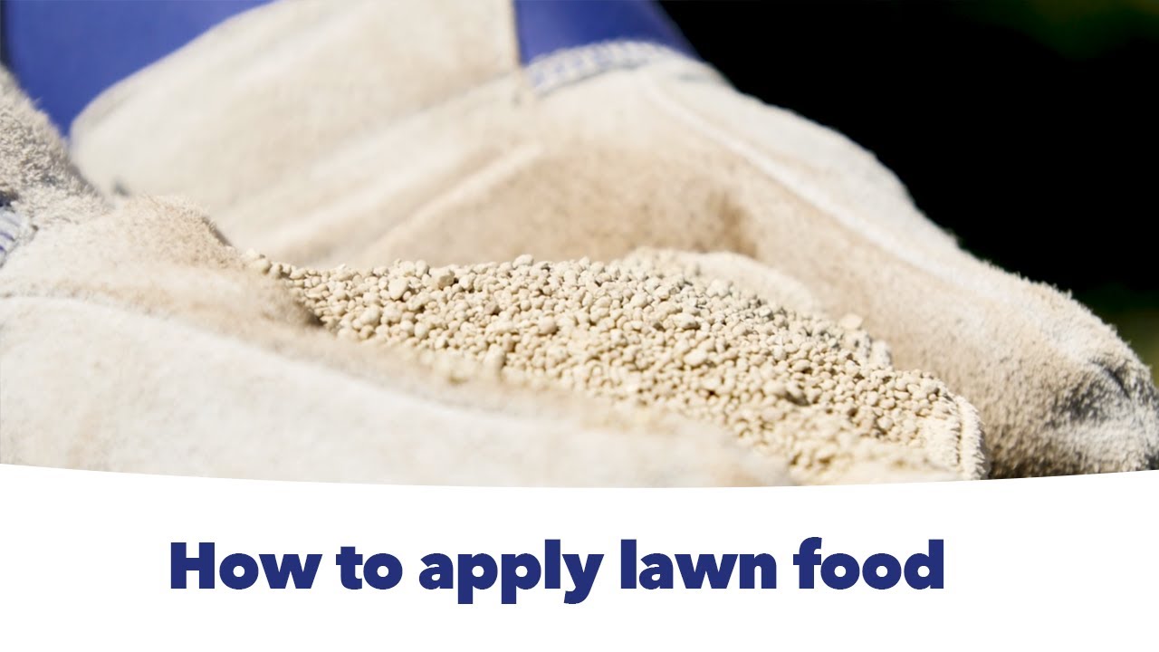 How to apply lawn food - YouTube