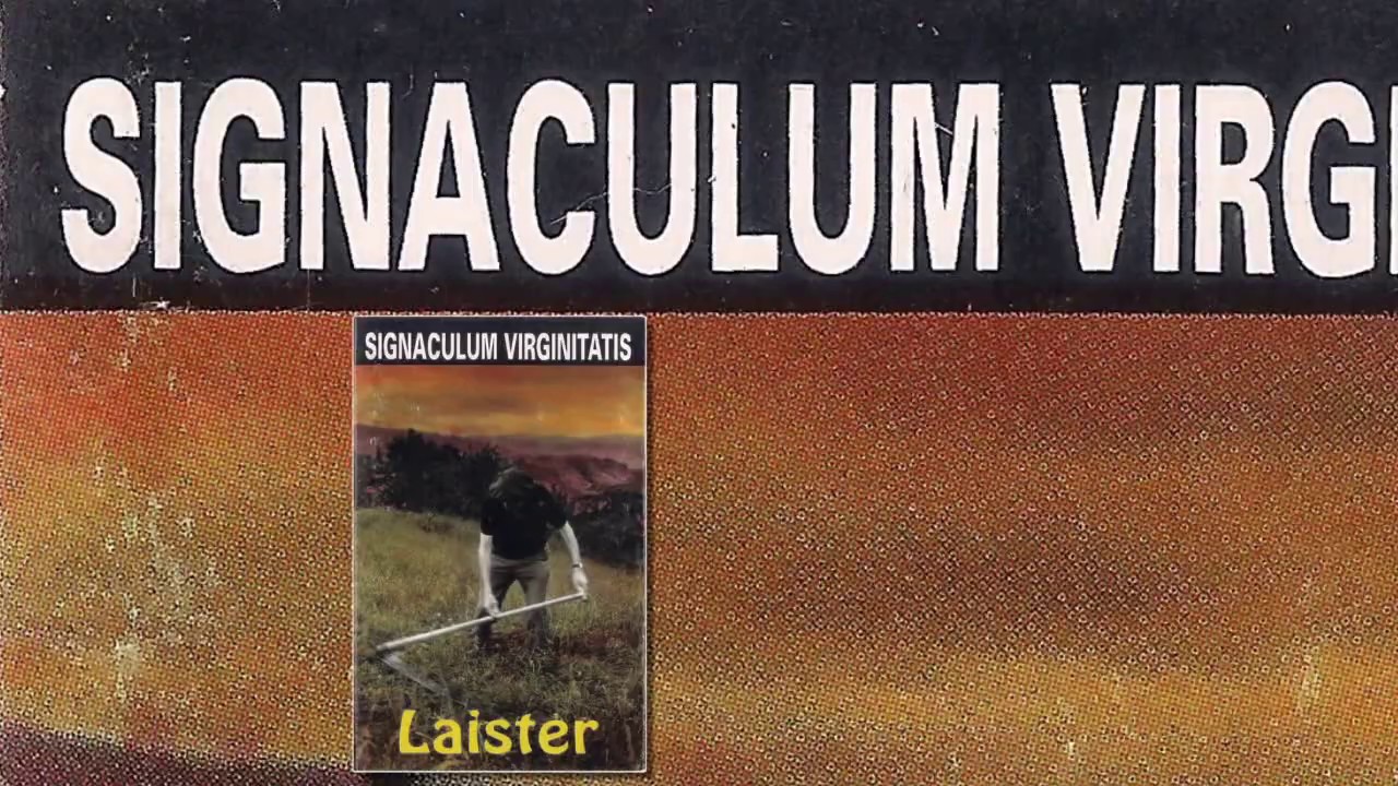 SIGNACULUM VIRGINITATIS 87 Zelda - YouTube