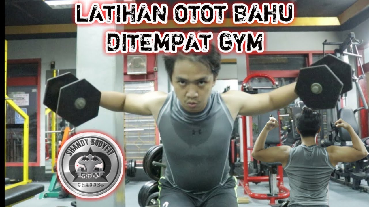 LATIHAN OTOT BAHU BAGI PEMULA DI TEMPAT FITNES/GYM | GYM #2. - YouTube