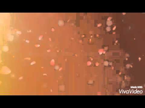 Romantis dengan VivaVideo