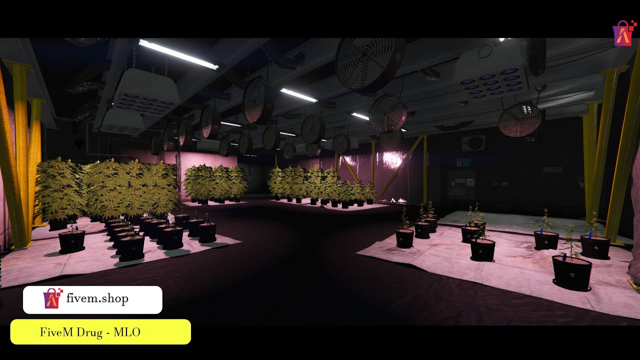 Fivem Weed Farm | Fivem Weed Processing Locations #fivem #weeding - YouTube