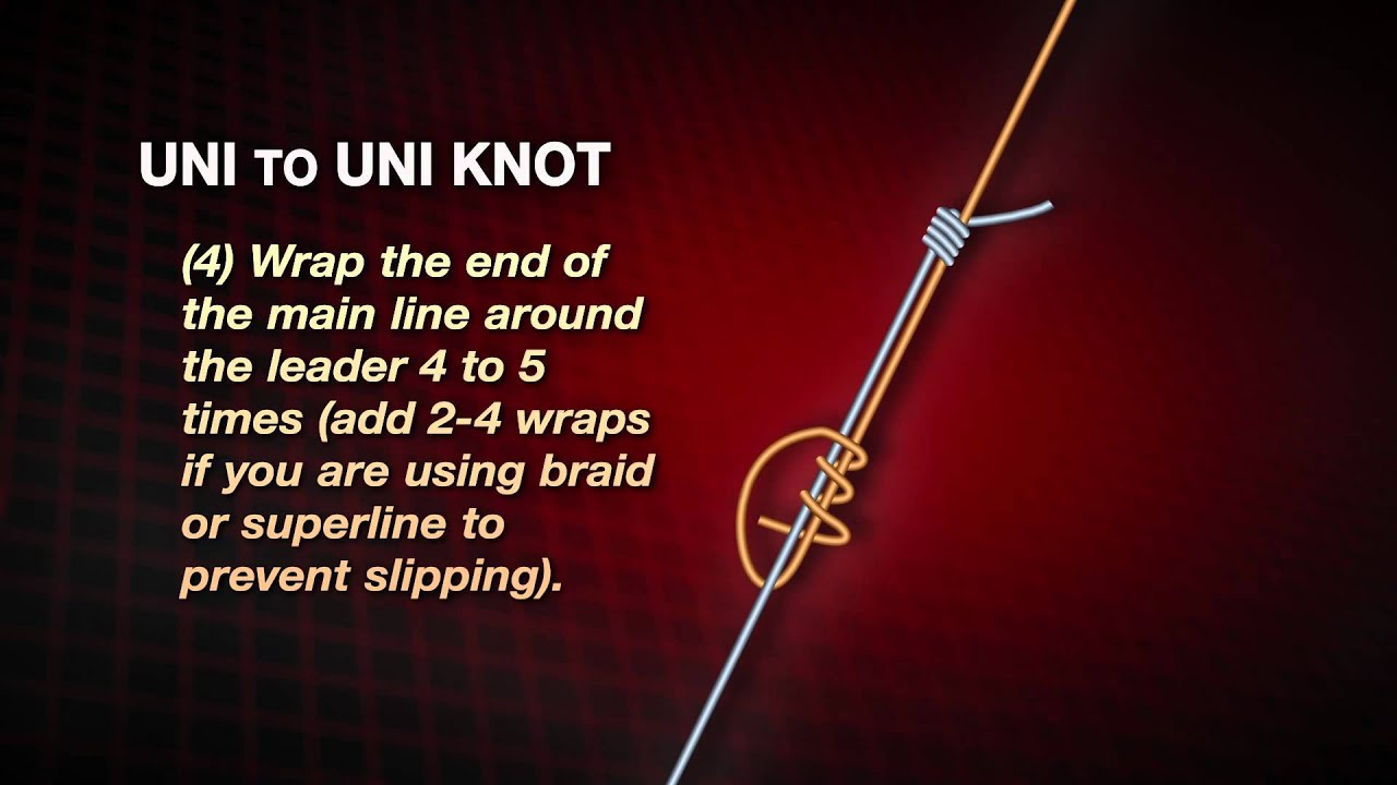 Uni-to-Uni Knot (a.k.a. Double Uni) by Abu Garcia - YouTube